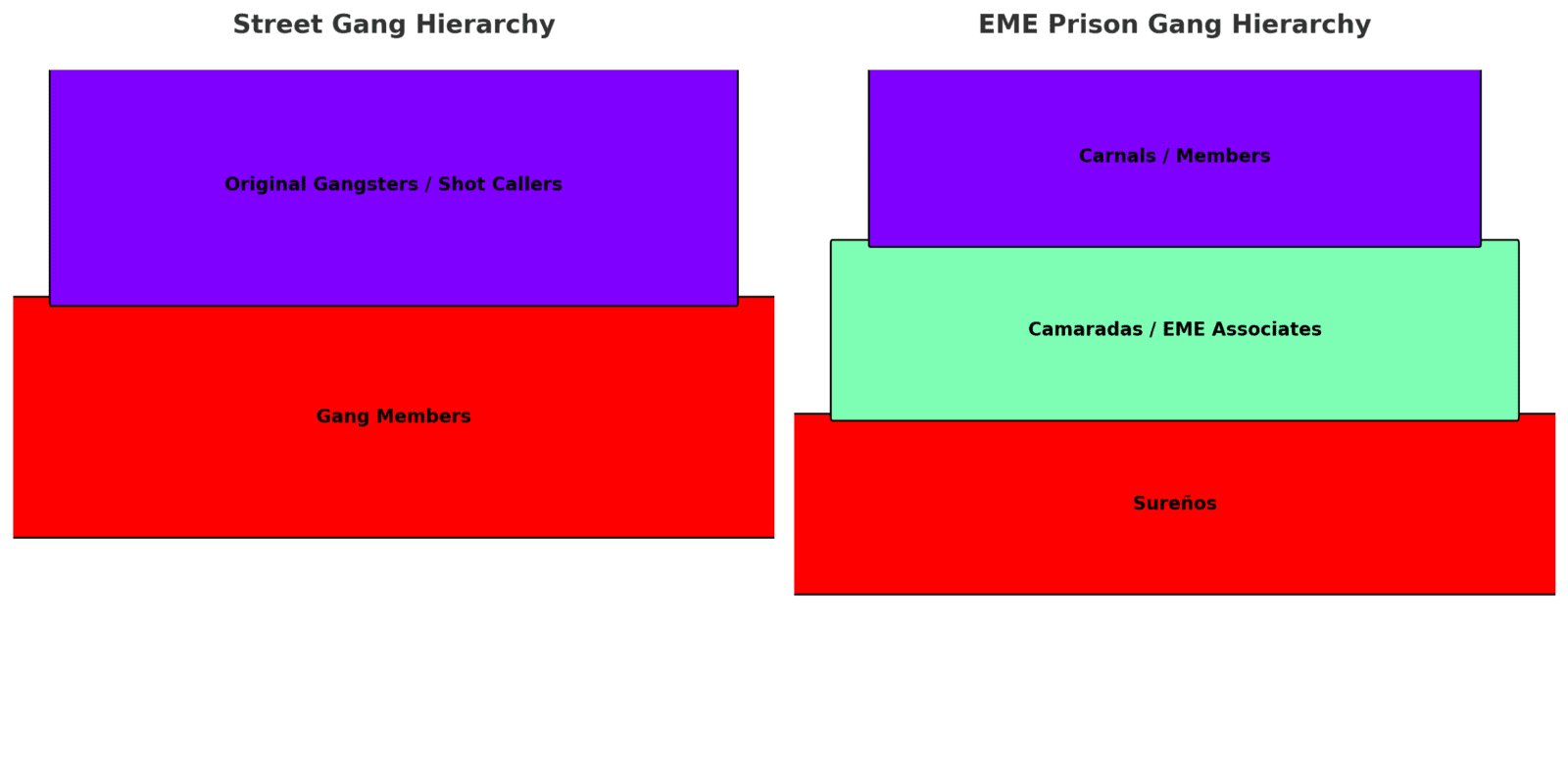 Roles in Gangs: How Power and Profit Shape Street Culture - Gang ...